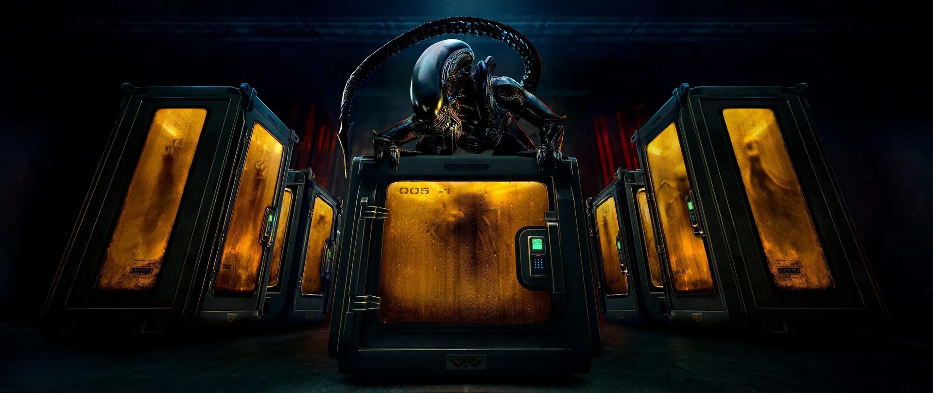 Wie zijn in Alien: Earth de echte monsters? - VARAgids - BNNVARA